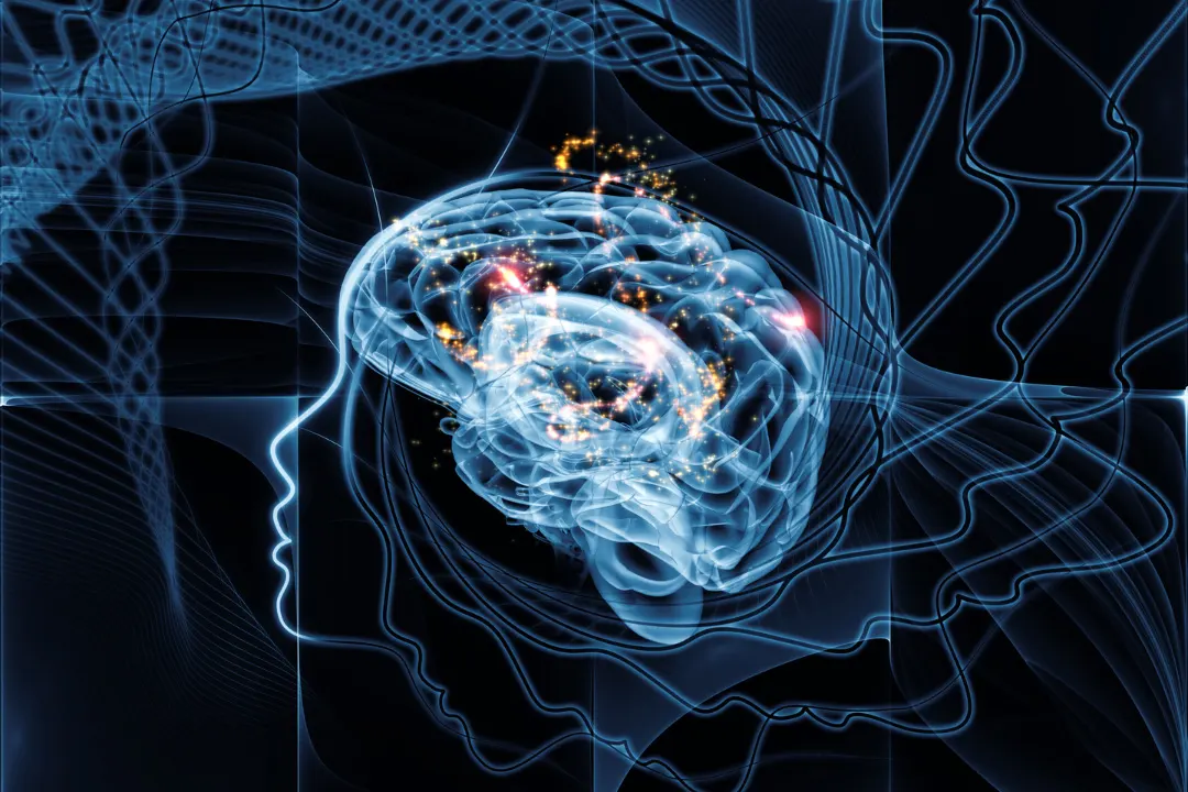 BrainMD Reviews vs Evolvere QUANTUMiND Reviews - Nootropics Planet