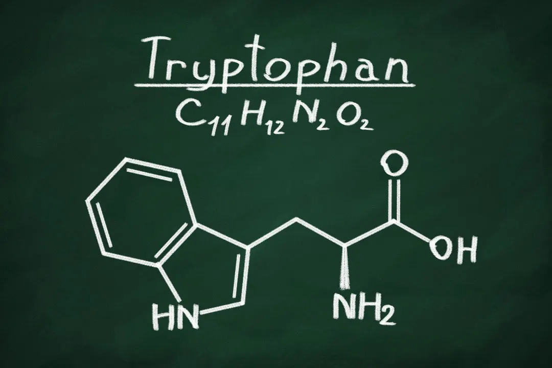 Tryptophan: Benefits, Dosage, Side Effects, Drug Interactions, And ...