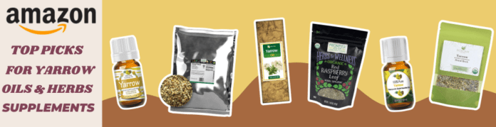 Yarrow: Benefits, Dosage, Side Effects, Drug Interactions, and Other ...