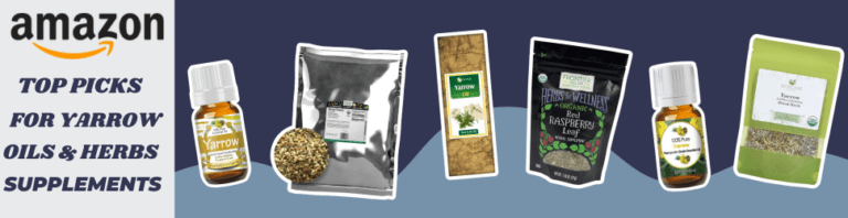 Yarrow: Benefits, Dosage, Side Effects, Drug Interactions, and Other ...