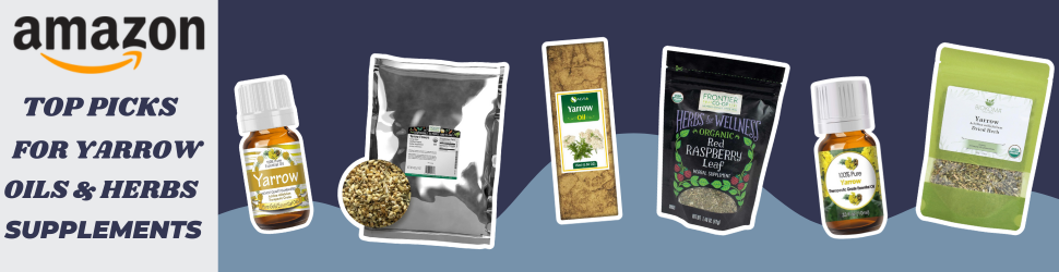 Yarrow: Benefits, Dosage, Side Effects, Drug Interactions, and Other ...