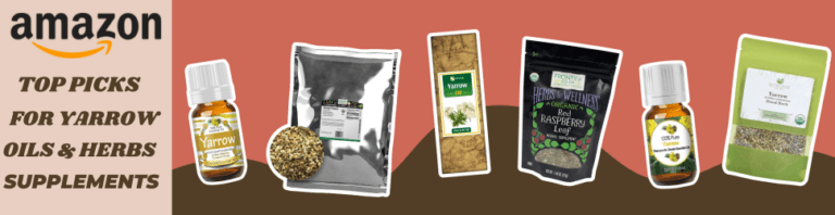 Yarrow: Benefits, Dosage, Side Effects, Drug Interactions, and Other ...