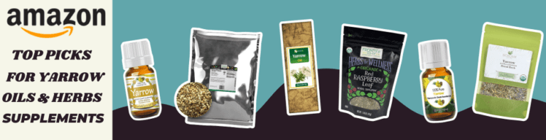 Yarrow: Benefits, Dosage, Side Effects, Drug Interactions, and Other ...