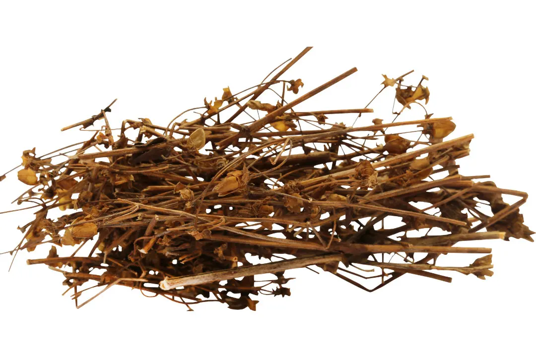 Chirata: Benefits, Dosage, Side Effects, Drug Interactions, and Other ...