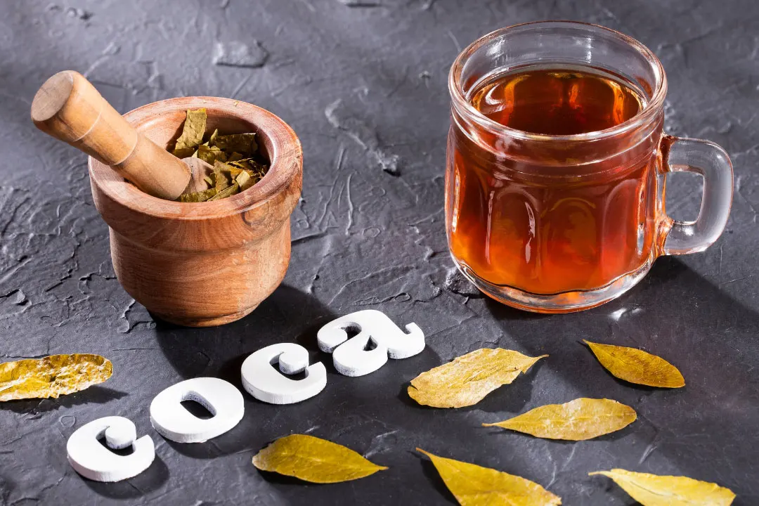 Coca: Benefits, Dosage, Side Effects, Drug Interactions, and Other ...