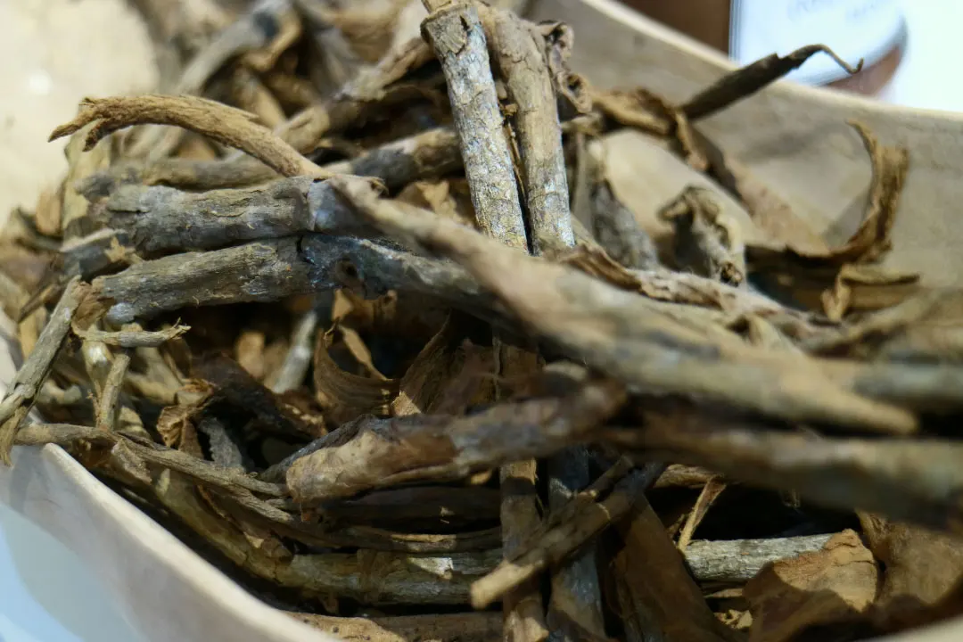 Cinchona: Benefits, Dosage, Side Effects, Drug Interactions, and Other ...