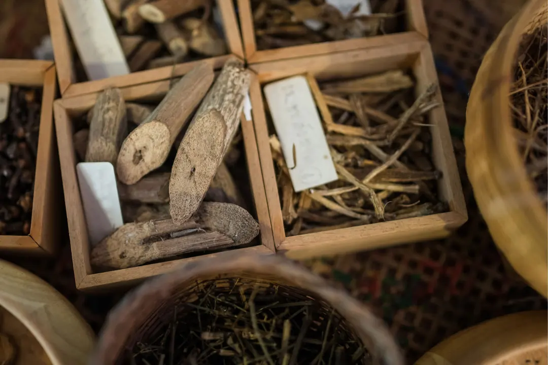 Chuchuhuasi: Benefits, Dosage, Side Effects, Drug Interactions, and ...