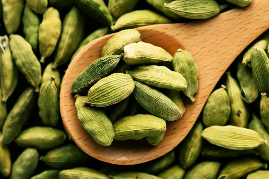 Cardamom: Benefits, Dosage, Side Effects, Drug Interactions, and Other ...