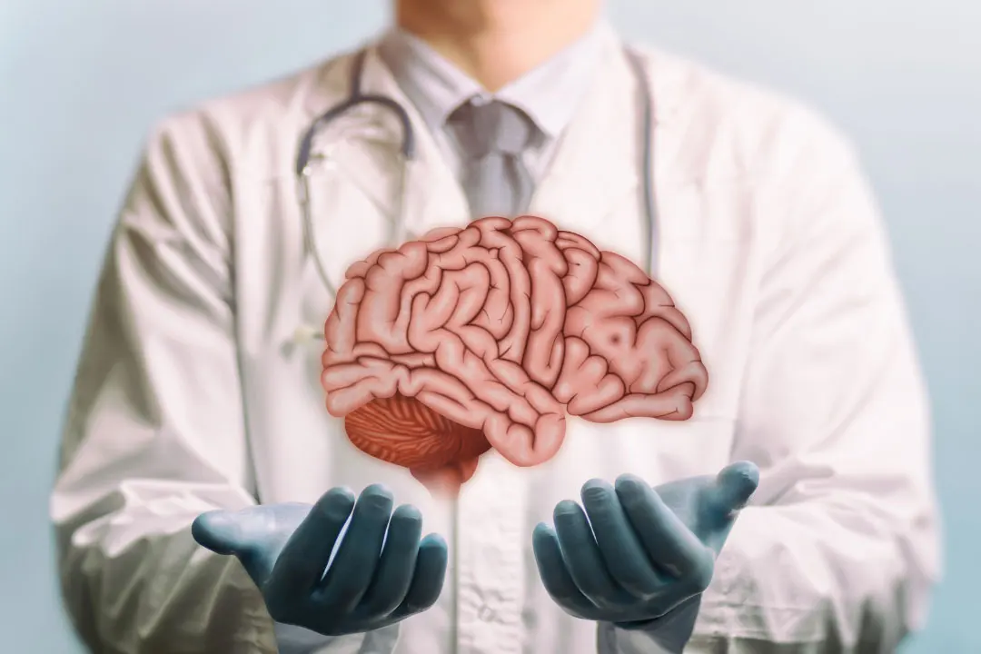 The 7 Most Powerful Huperzine A Brain Benefits - Nootropics Planet