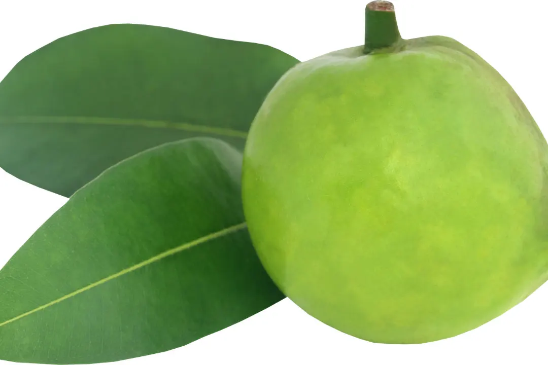 Gamboge: Benefits, Dosage, Side Effects, Drug Interactions, and Other ...