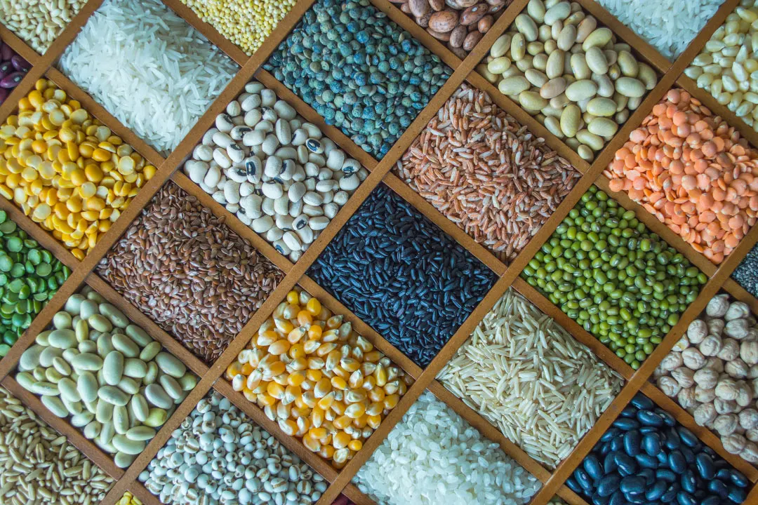 Fructo-oligosaccharides: Benefits, Dosage, Side Effects, Drug ...