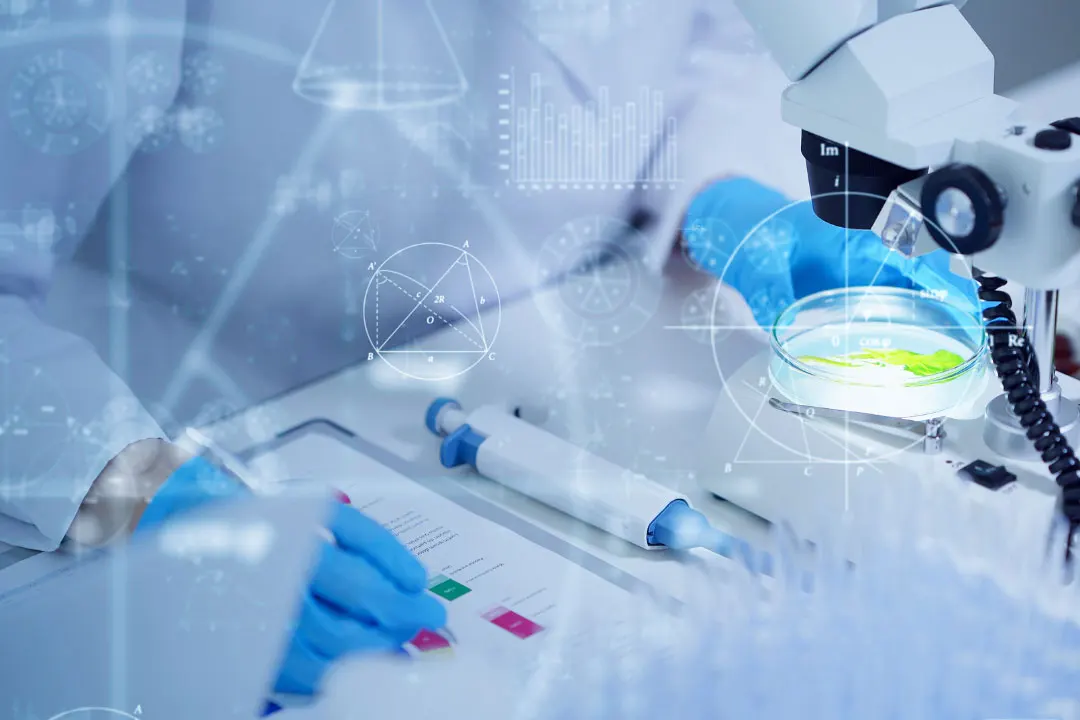 Equol: Benefits, Dosage, Side Effects, Drug Interactions, and Other ...