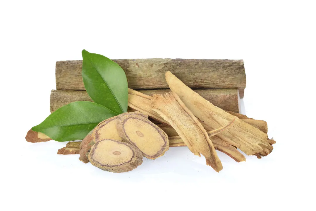 Eurycoma Longifolia: Benefits, Dosage, Side Effects, Drug Interactions ...
