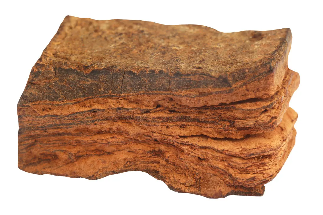 Catechu: Benefits, Dosage, Side Effects, Drug Interactions, and Other ...