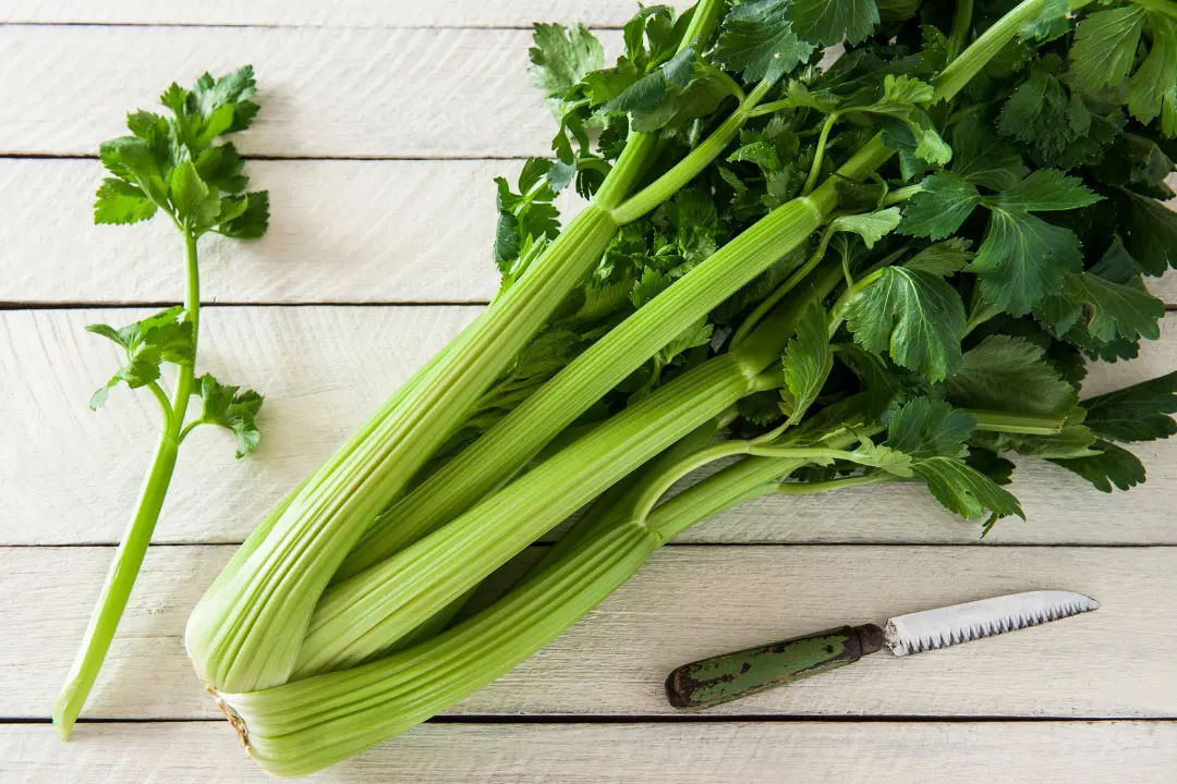 Celery: Benefits, Dosage, Side Effects, Drug Interactions, and Other ...
