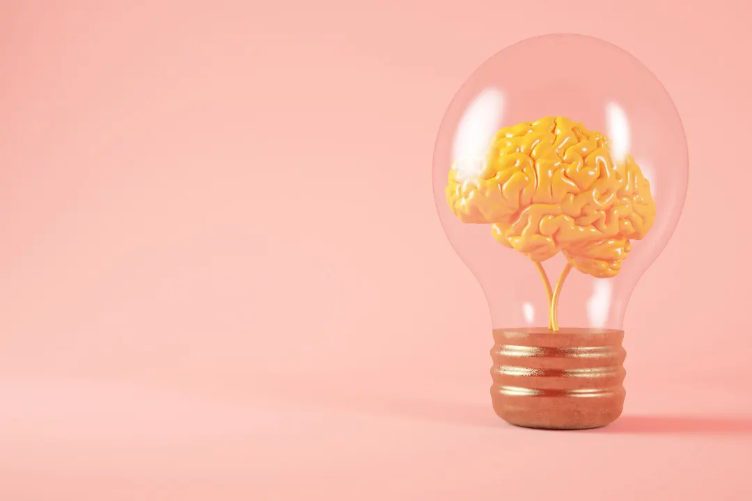 Bright Brain Absolute Focus: A Review of the Facts About This Leading ...