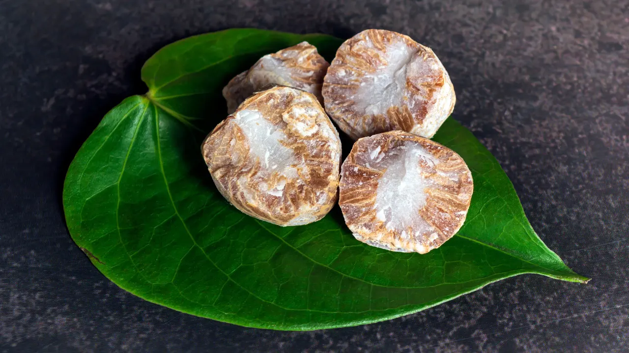 Betel Nut: Benefits, Dosage, Side Effects, Drug Interactions, And Other ...