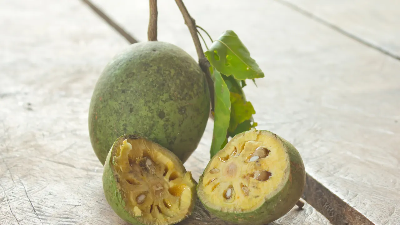 BAEL: Benefits, Dosage, Side Effects, Drug Interactions, And Other ...