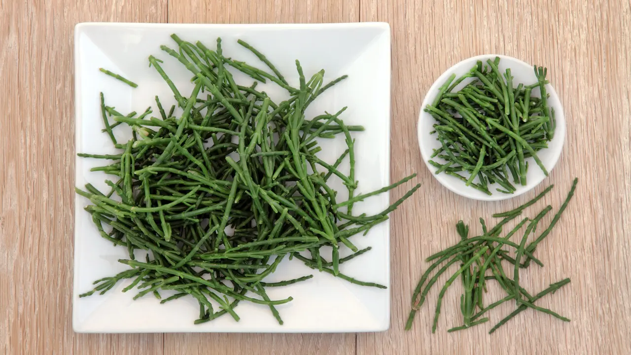 SAMPHIRE: Benefits, Dosage, Side Effects, Drug Interactions, and Other ...