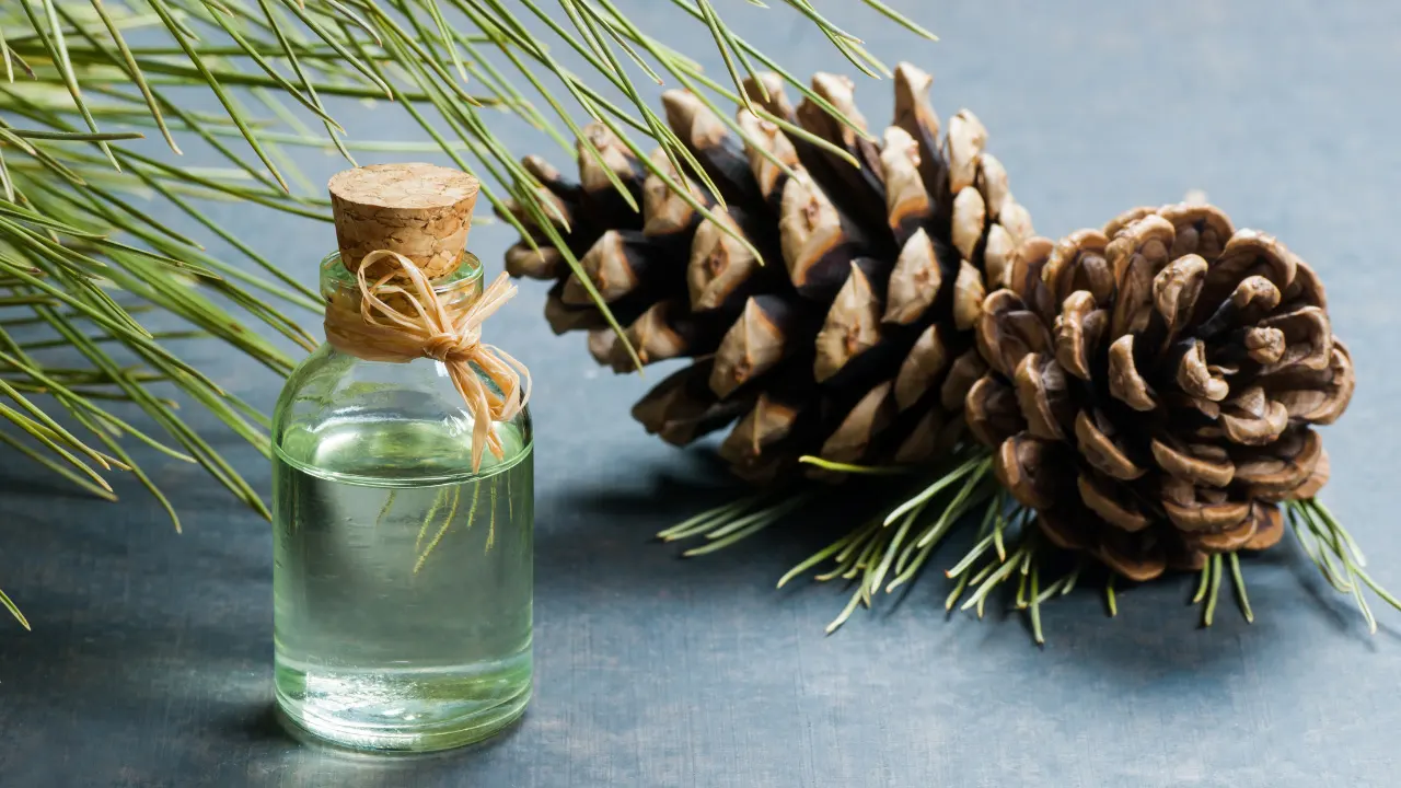 Turpentine Oil: Benefits, Dosage, Side Effects, Drug Interactions, and ...