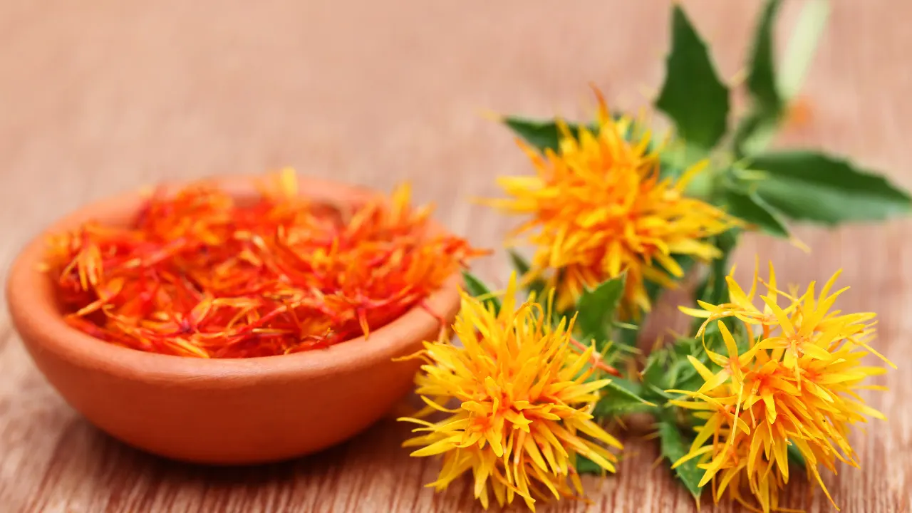 Safflower: Benefits, Dosage, Side Effects, Drug Interactions, and Other ...