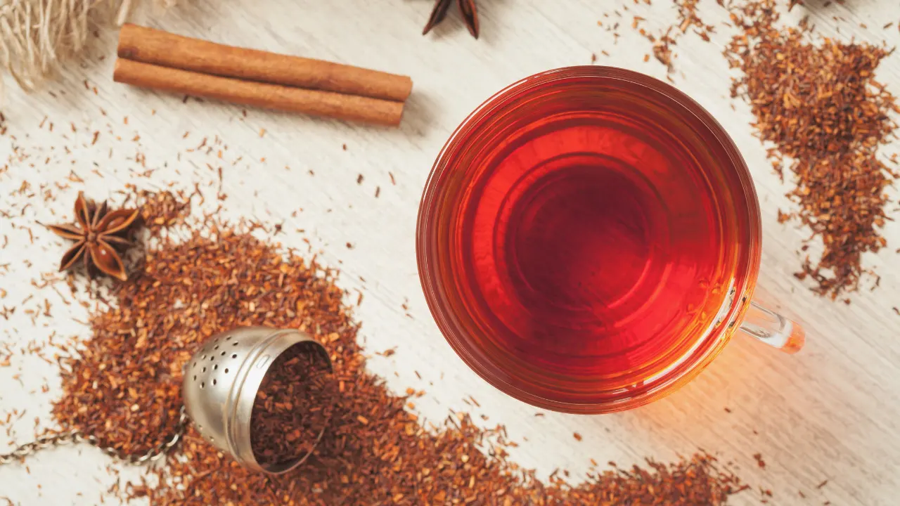 Red Bush Tea: Benefits, Dosage, Side Effects, Drug Interactions, and ...