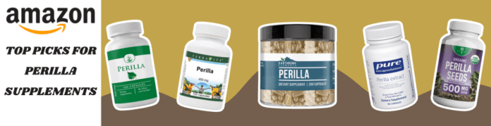 Perilla: Potential Nootropic Benefits, Dosage, Side Effects ...