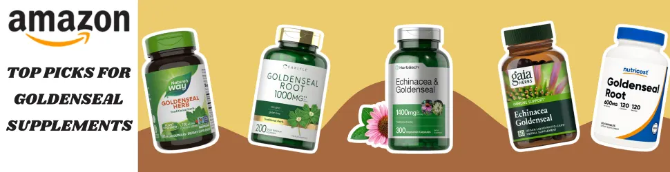 Goldenseal: Potential Nootropic Benefits, Dosage, Side Effects ...