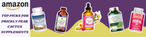 Prickly Pear Cactus: Potential Nootropic Benefits, Dosage, Side Effects ...