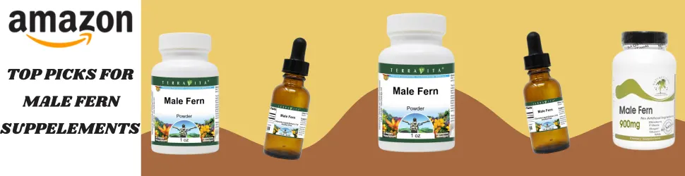 Male Fern: Potential Nootropic Benefits, Dosage, Side Effects ...