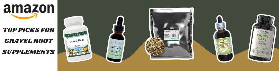 Gravel Root: Potential Nootropic Benefits, Dosage, Side Effects ...