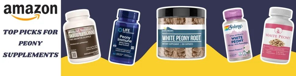 Peony: Potential Nootropic Benefits, Dosage, Side Effects, Interactions ...