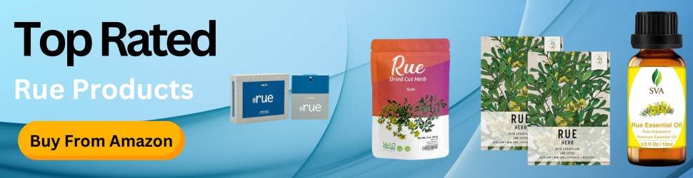 Rue: Potential Nootropic Benefits, Dosage, Side Effects, Interactions ...