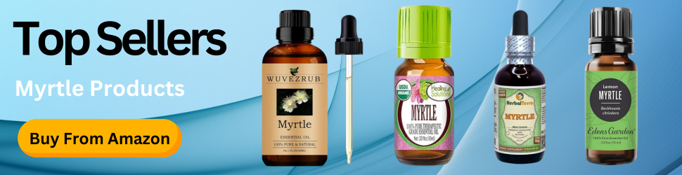 Myrtle: Potential Nootropic Benefits, Dosage, Side Effects ...
