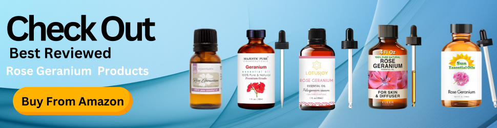 Rose Geranium Oil: Potential Nootropic Benefits, Dosage, Side Effects ...