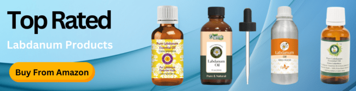 Labdanum: Potential Nootropic Benefits, Dosage, Side Effects ...
