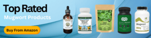 Mugwort: Potential Nootropic Benefits, Dosage, Side Effects ...