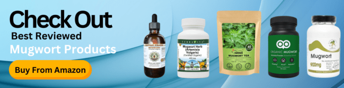 Mugwort: Potential Nootropic Benefits, Dosage, Side Effects ...
