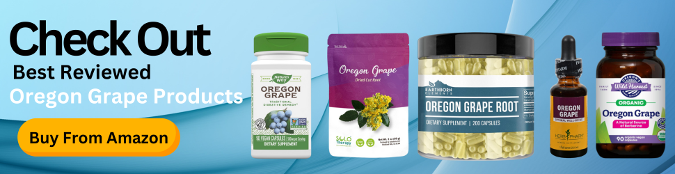 Oregon Grape: Potential Nootropic Benefits, Dosage, Side Effects ...