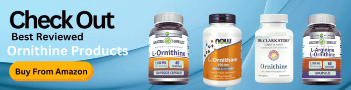 Ornithine: Potential Nootropic Benefits, Dosage, Side Effects ...