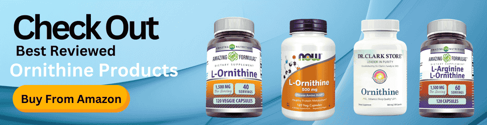 Ornithine: Potential Nootropic Benefits, Dosage, Side Effects ...