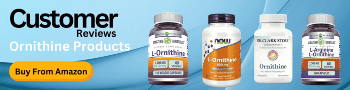 Ornithine: Potential Nootropic Benefits, Dosage, Side Effects ...
