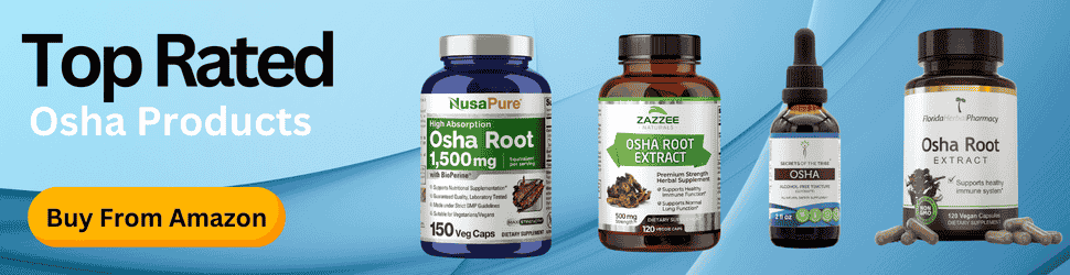 Osha: Potential Nootropic Benefits, Dosage, Side Effects, Interactions ...