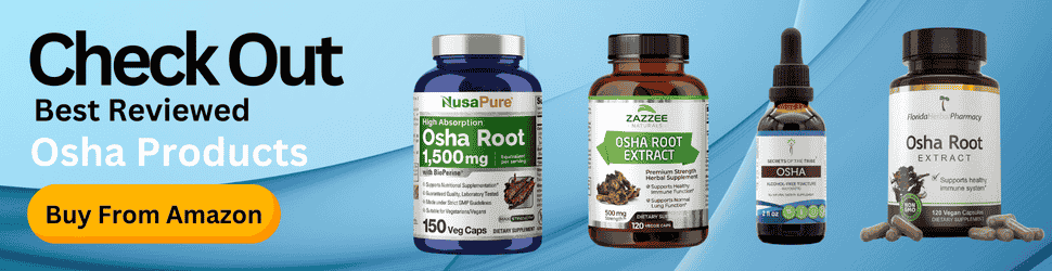 Osha: Potential Nootropic Benefits, Dosage, Side Effects, Interactions ...
