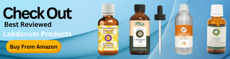 Labdanum: Potential Nootropic Benefits, Dosage, Side Effects ...