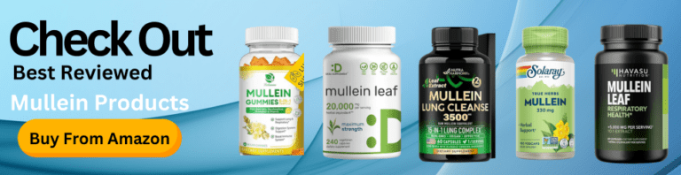 Mullein: Potential Nootropic Benefits, Dosage, Side Effects ...
