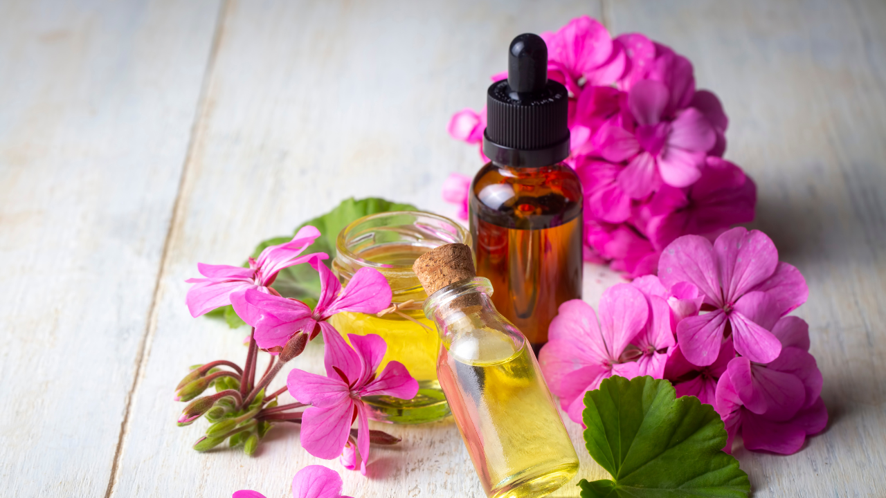 Rose Geranium Oil: Potential Nootropic Benefits, Dosage, Side Effects ...