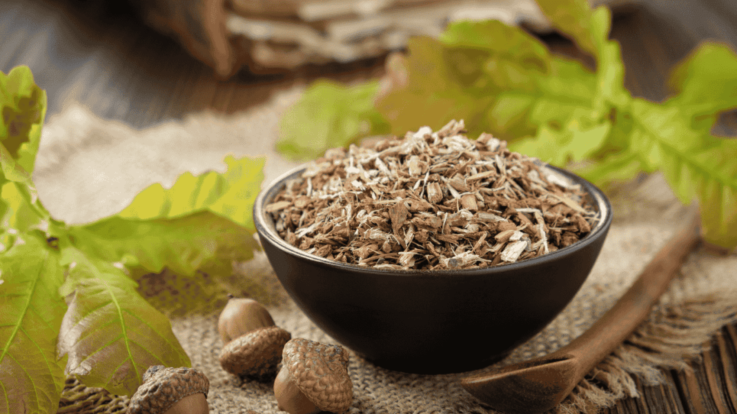 Oak Bark: Potential Nootropic Benefits, Dosage, Side Effects ...