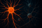 How Age Affects Memory: Proven Ways to Protect Brain Health